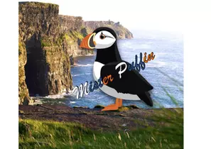 Mr. Puffin | Unterrichtsmaterialien bei eduki.com