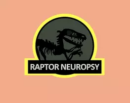 Raptor Neuropsy | Ressources pédagogiques sur eduki.com
